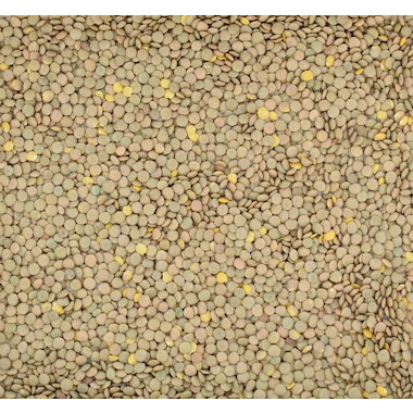 Kadac Bulk ORG GREEN LENTILS 25kg | Kadac - Organic Natural Health